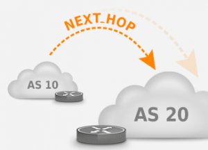 A fresh look at BGP's NEXT_HOP | Noction