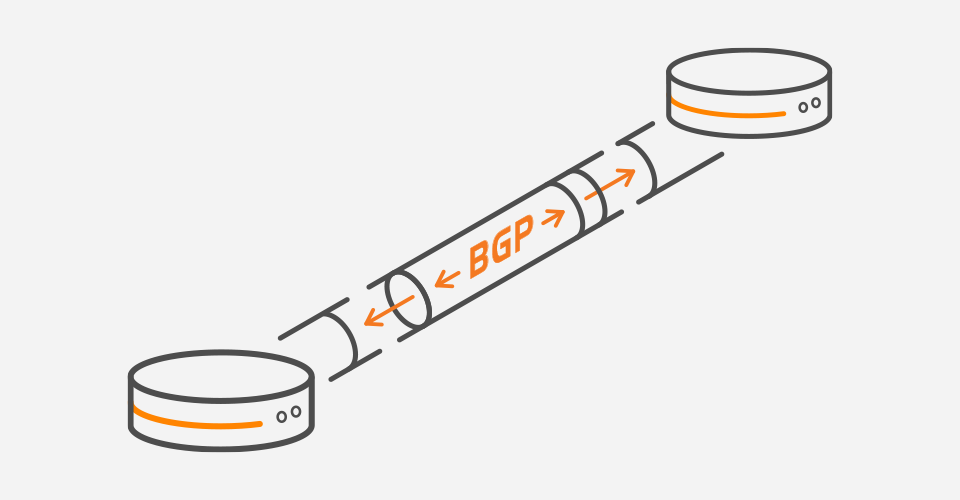 BGP / MPLS Layer3 VPNs | Noction