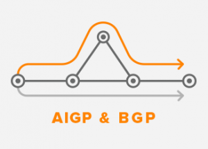 Accumulated IGP and BGP | Noction