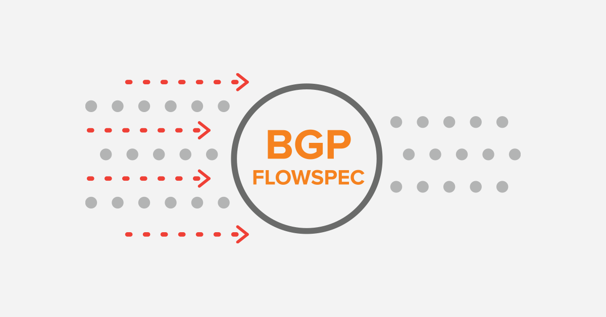 DDoS Mitigation and BGP Flowspec | Noction
